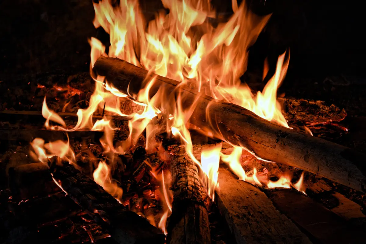 ¿Es segura una casa de madera en caso de incendio? | woodiswood | Blog ...